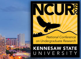 CIB analysts present research at NCUR conference in Georgia | CIB